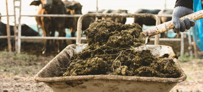 Chicken Poop Compost Machine - Small & Large Scales